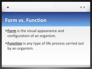 Form and function | PPT