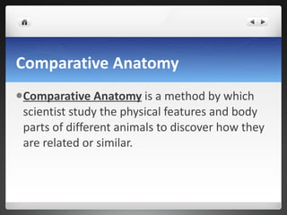 Form and function | PPT
