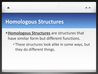 Form and function | PPT