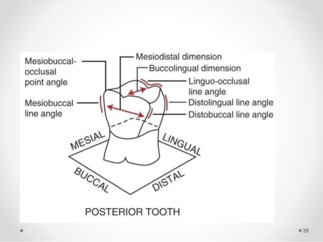 Dana/Roseman/Terminology