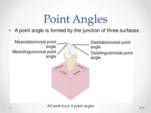 Dana/Roseman/Terminology