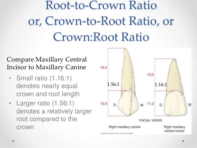 Dana/Roseman/Terminology