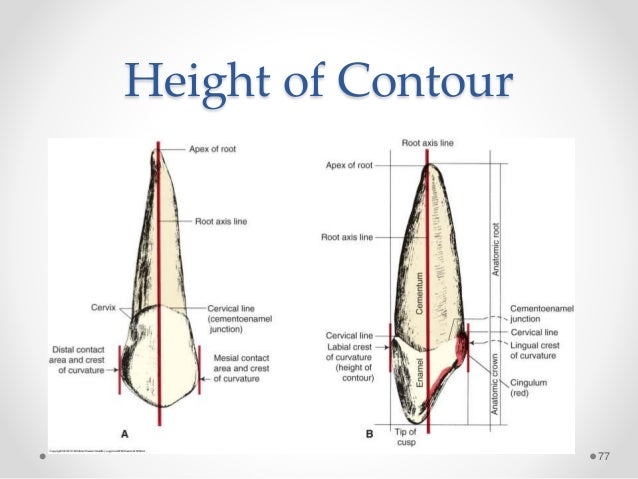 Dana/Roseman/Terminology