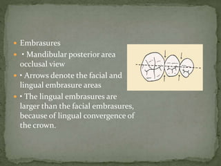 Form and function of orofacial complex | PPTX