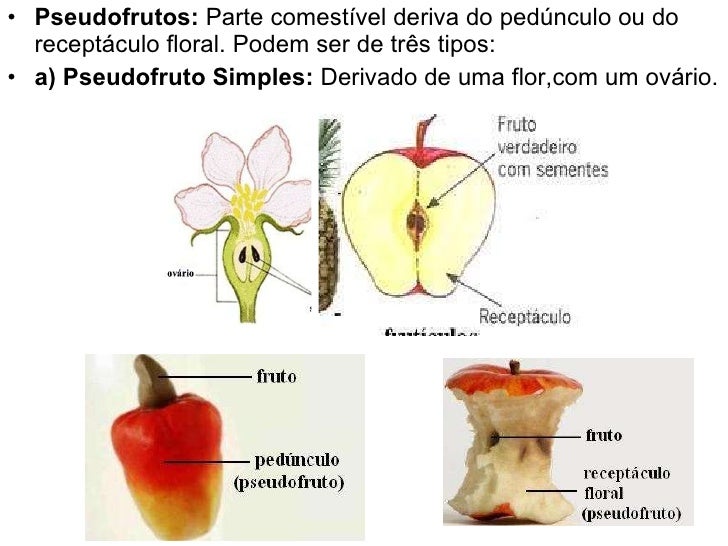 Formação de fruto e semente