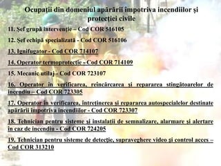 Formare profesionala IGSU | PDF
