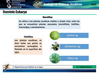 Formas de vida en los Ecosistemas Acuáticos_1.pdf