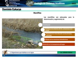 Formas de vida en los Ecosistemas Acuáticos_1.pdf