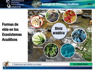 Formas de vida en los Ecosistemas Acuáticos_1.pdf