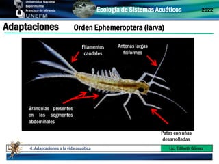 Formas de vida en los Ecosistemas Acuáticos_1.pdf