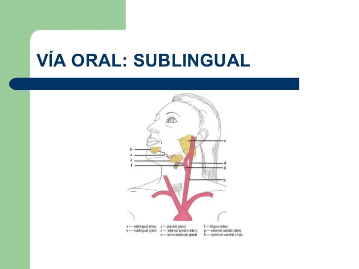 Formas farmacéutica y vías de administración