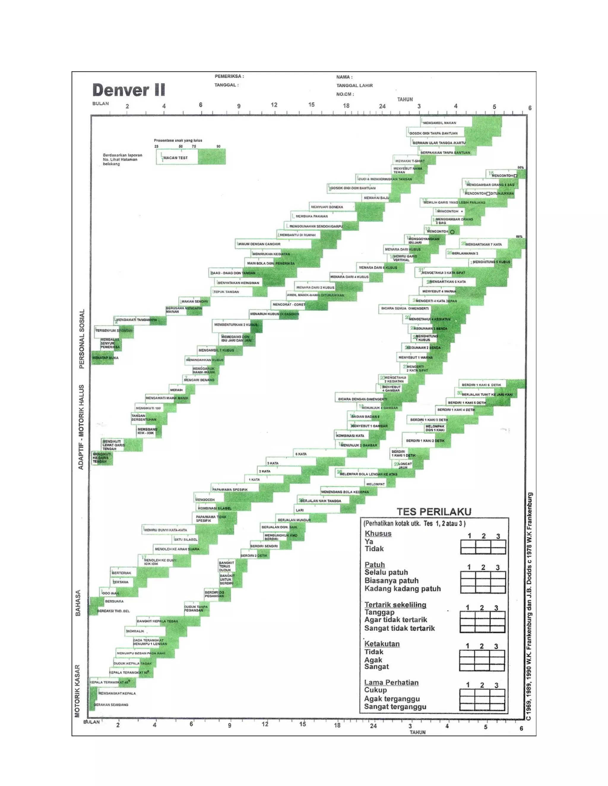 format DDST II.pdf