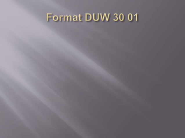 Format duw 31 01 | PPT