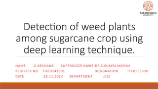 Format for Seminar Presentation.WEED pptx | PPTX