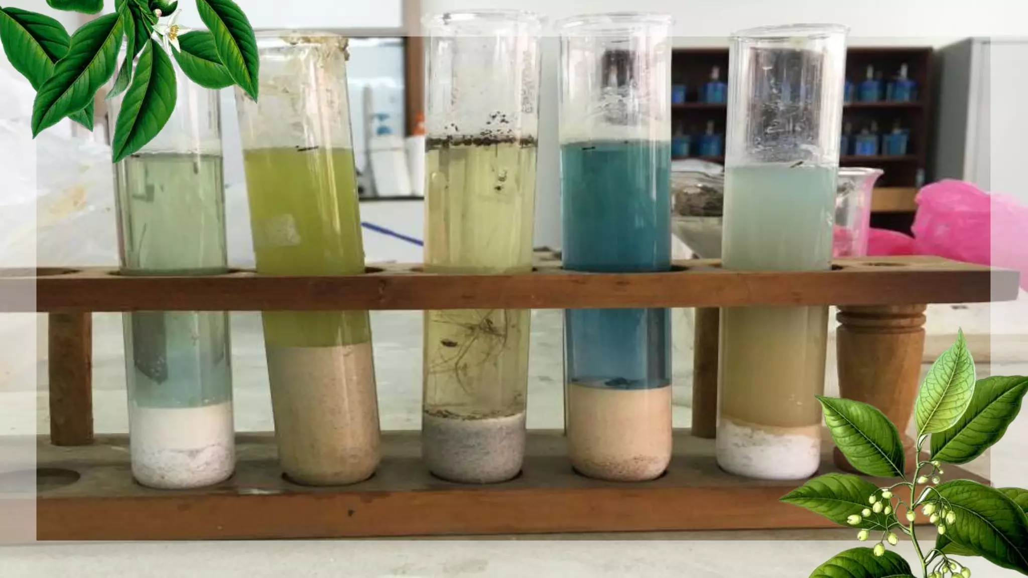 STPM Chemistry Coursework/Project PBS Power Point Presentation (2016 ...