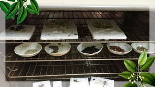 STPM Chemistry Coursework/Project PBS Power Point Presentation (2016 ...