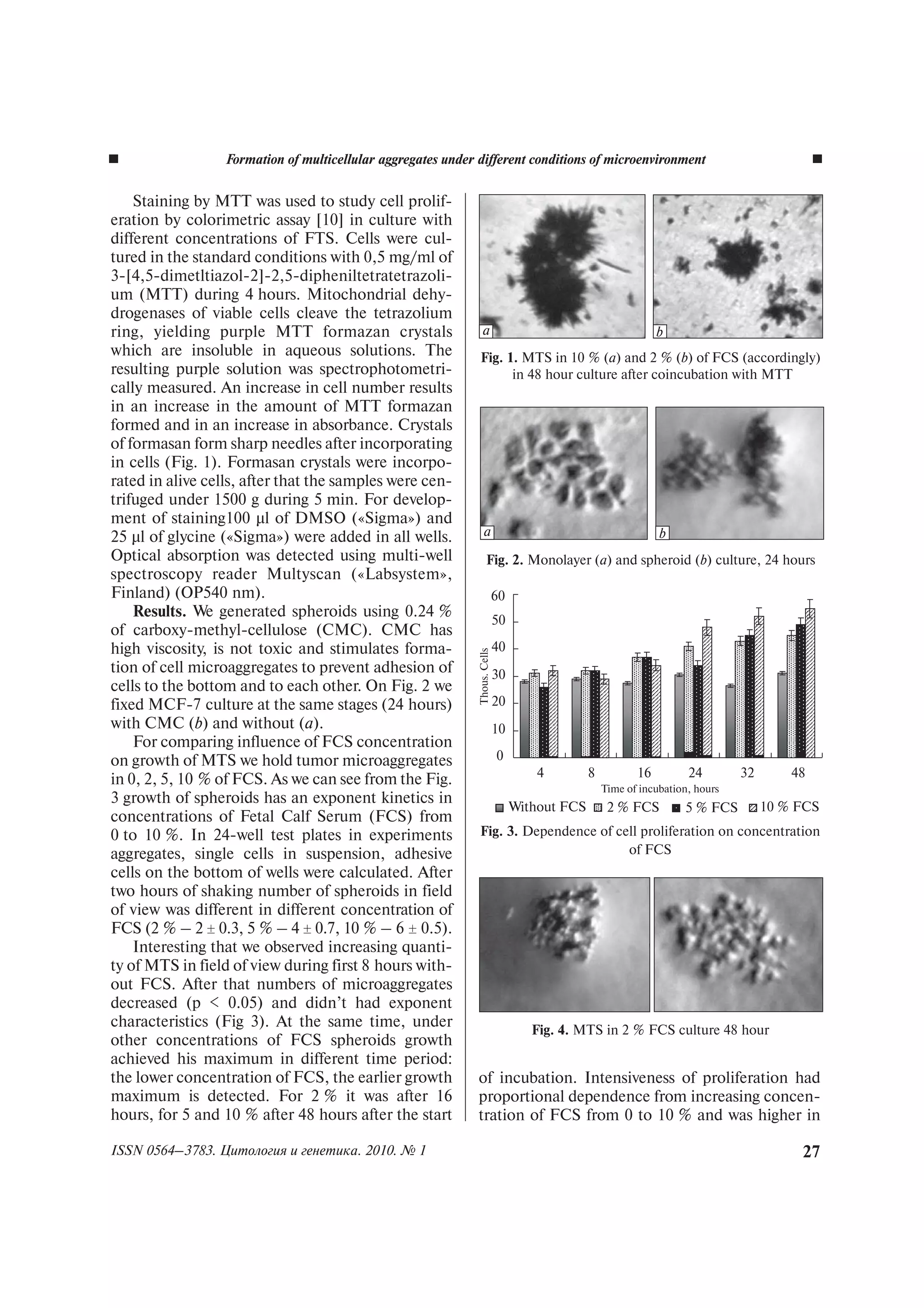 Formation Of Multicellular Aggregates Under Different Conditions Of Microenvironment