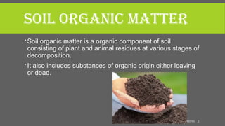 FORMATION AND COMPOSITION OF SOIL ORGANIC MATTER K R.pptx