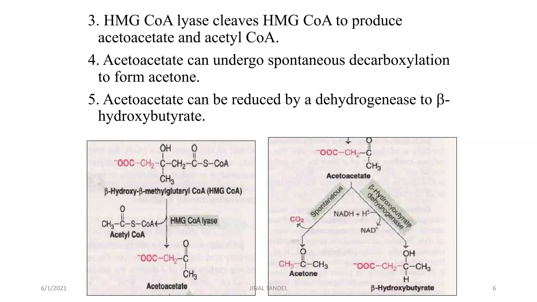Formation and utilization of ketone bodies; ketoacidosis | PPTX