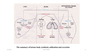 Formation and utilization of ketone bodies; ketoacidosis | PPTX