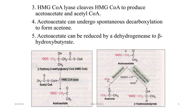 Formation and utilization of ketone bodies; ketoacidosis | PPTX