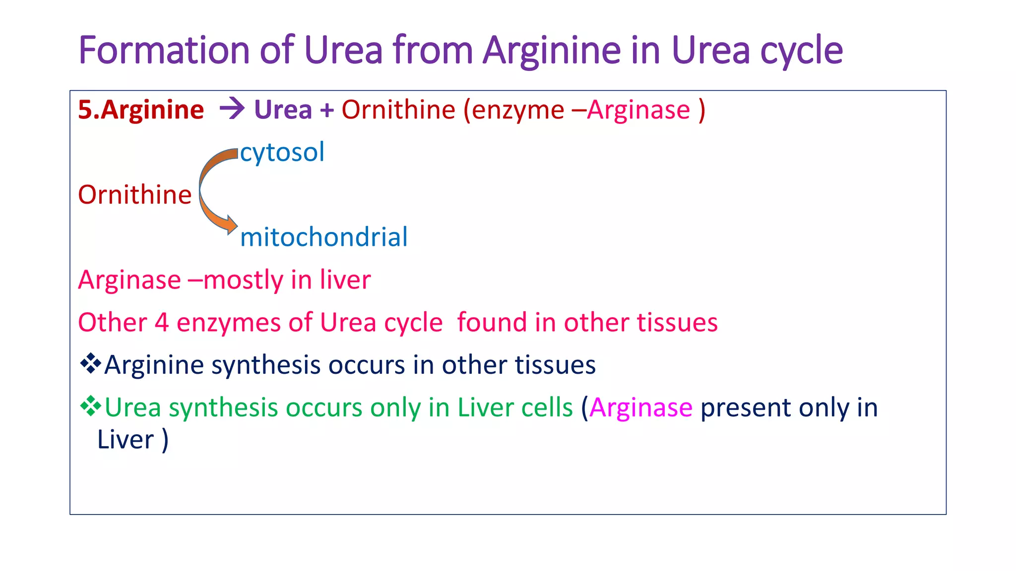 Formation & clinical significance of urea | PDF