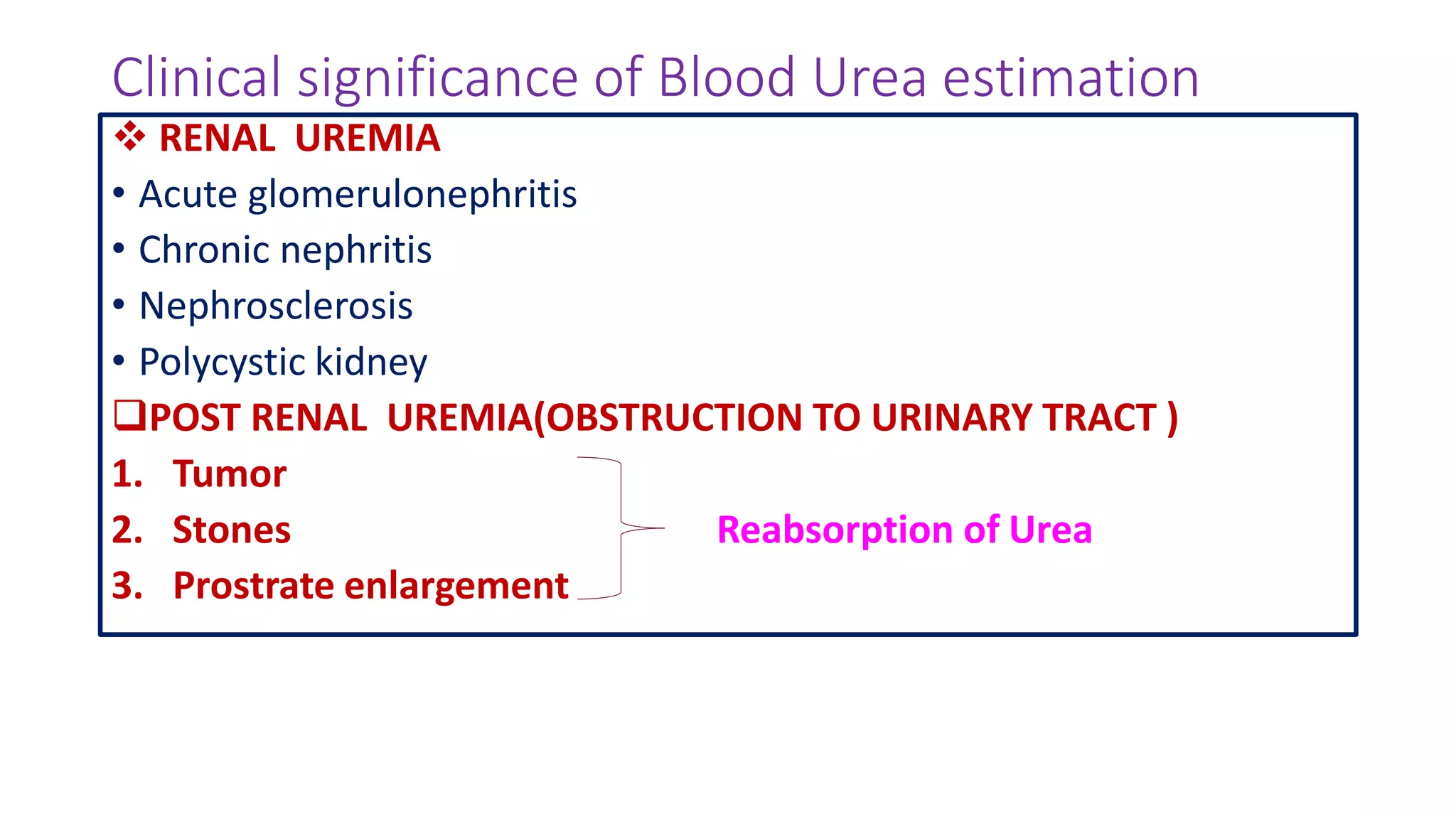 Formation & clinical significance of urea | PDF