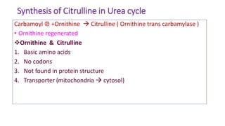 Formation & clinical significance of urea | PDF