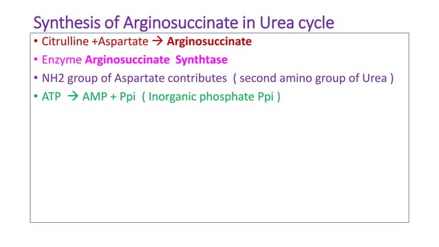 Formation & clinical significance of urea | PDF | Endocrine and ...