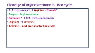 Formation & clinical significance of urea | PDF