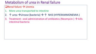 Formation & clinical significance of urea | PDF