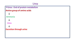 Formation & clinical significance of urea | PDF