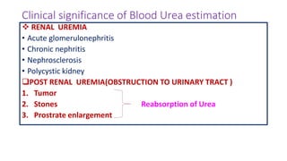 Formation & clinical significance of urea | PDF