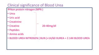 Formation & clinical significance of urea | PDF