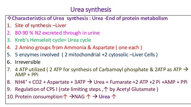 Formation & clinical significance of urea