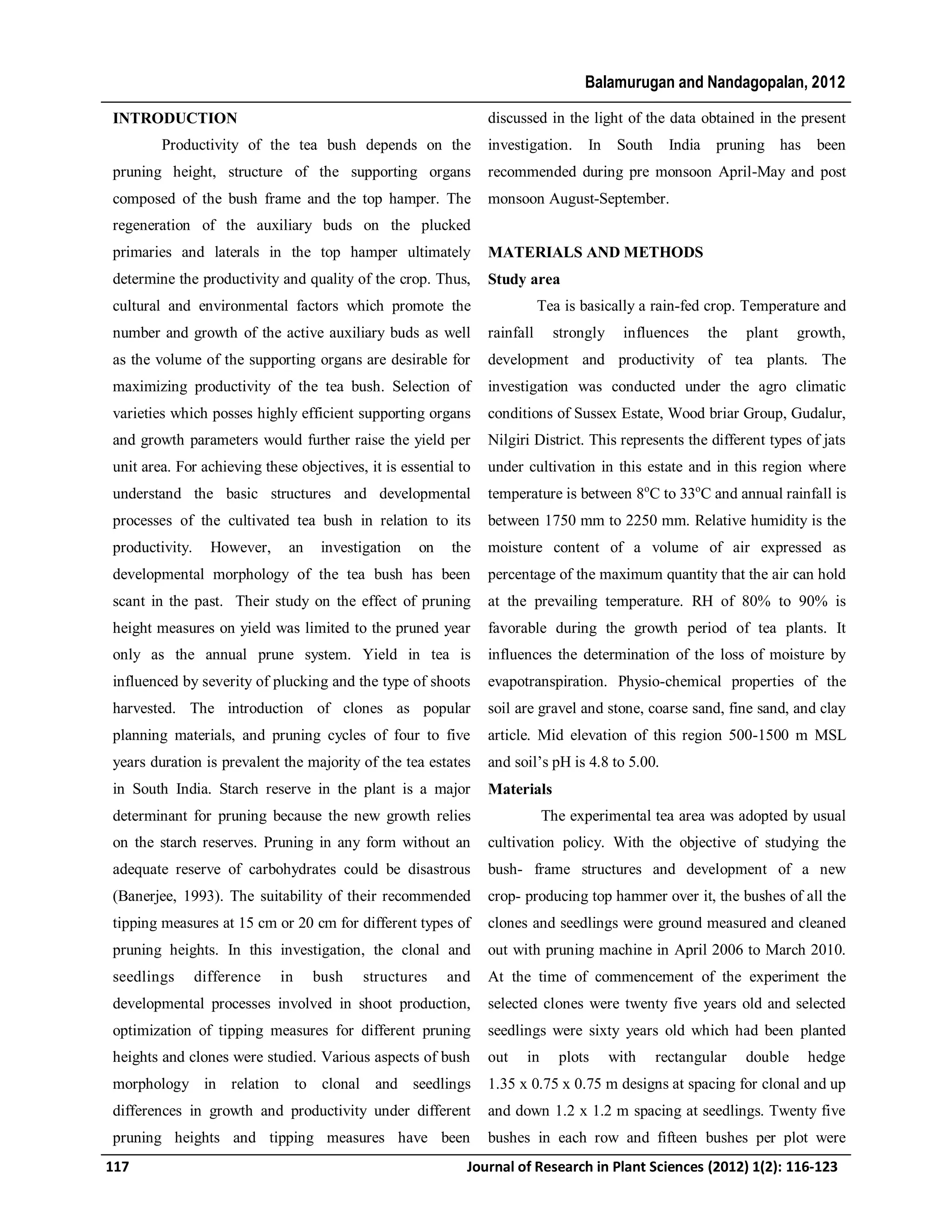 Formation, growth and productivity of the tea bush | PDF