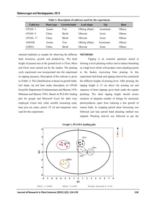 Formation, growth and productivity of the tea bush | PDF