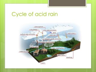 Acid Rain Formation