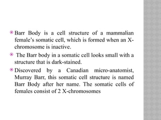 Formation of bar bodies in human genetics tx | PPTX