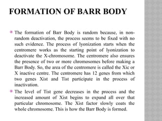 Formation of bar bodies in human genetics tx | PPTX