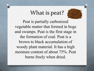 Formation Of Coal Web Version | PPTX
