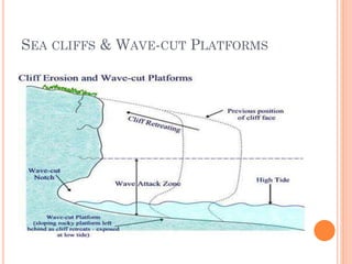 Formation of coastal features | PPT