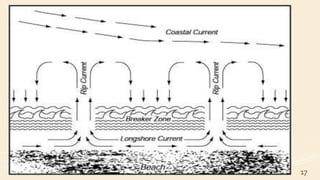 Formation of coastline | PPTX