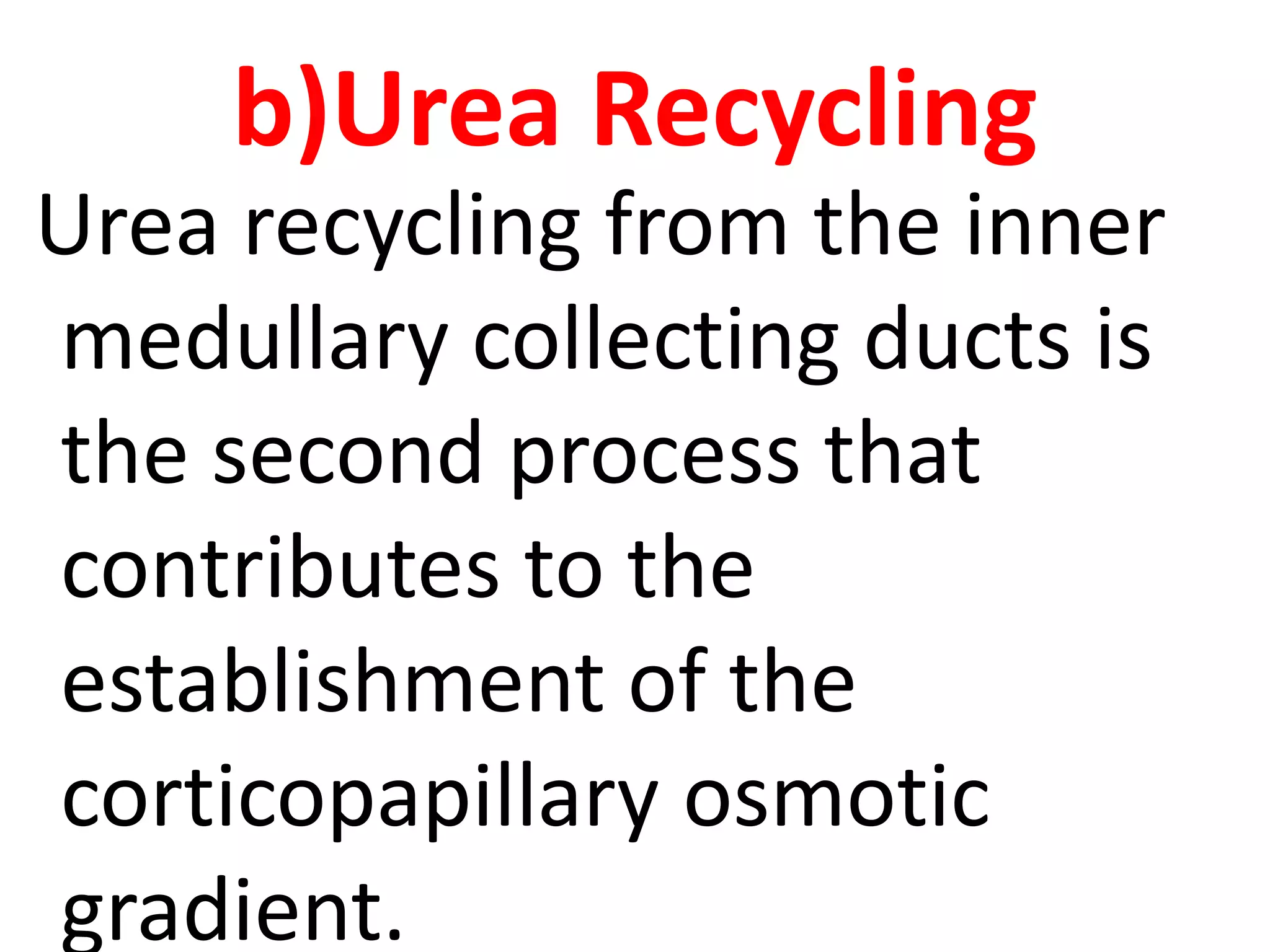 urine concentration and dilution | PPTX