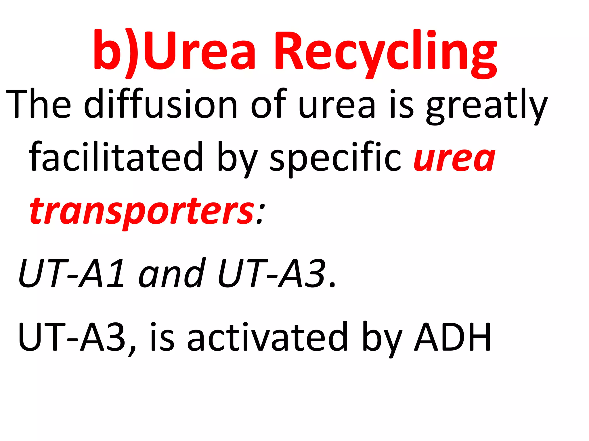 urine concentration and dilution | PPTX