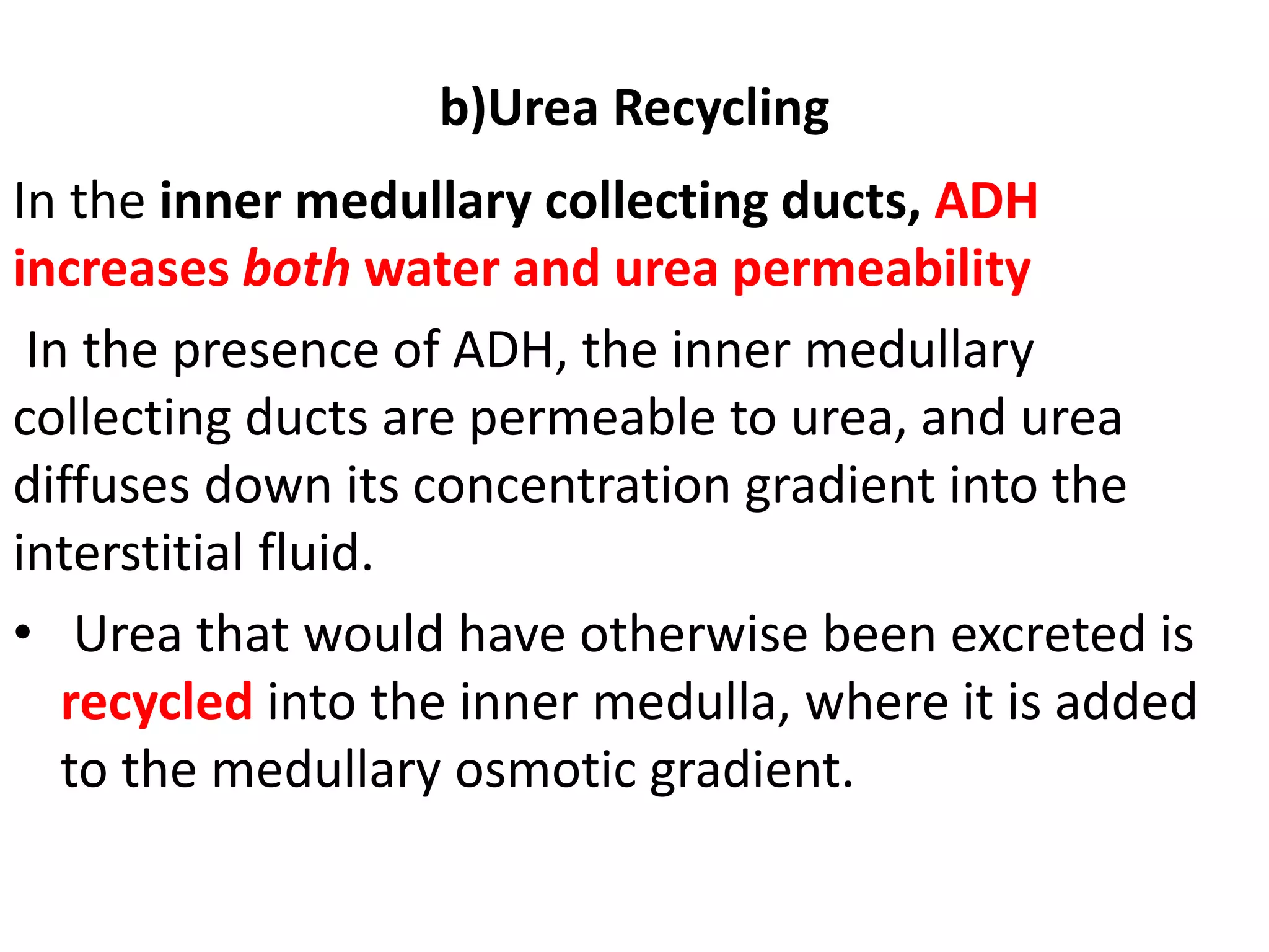 urine concentration and dilution | PPTX