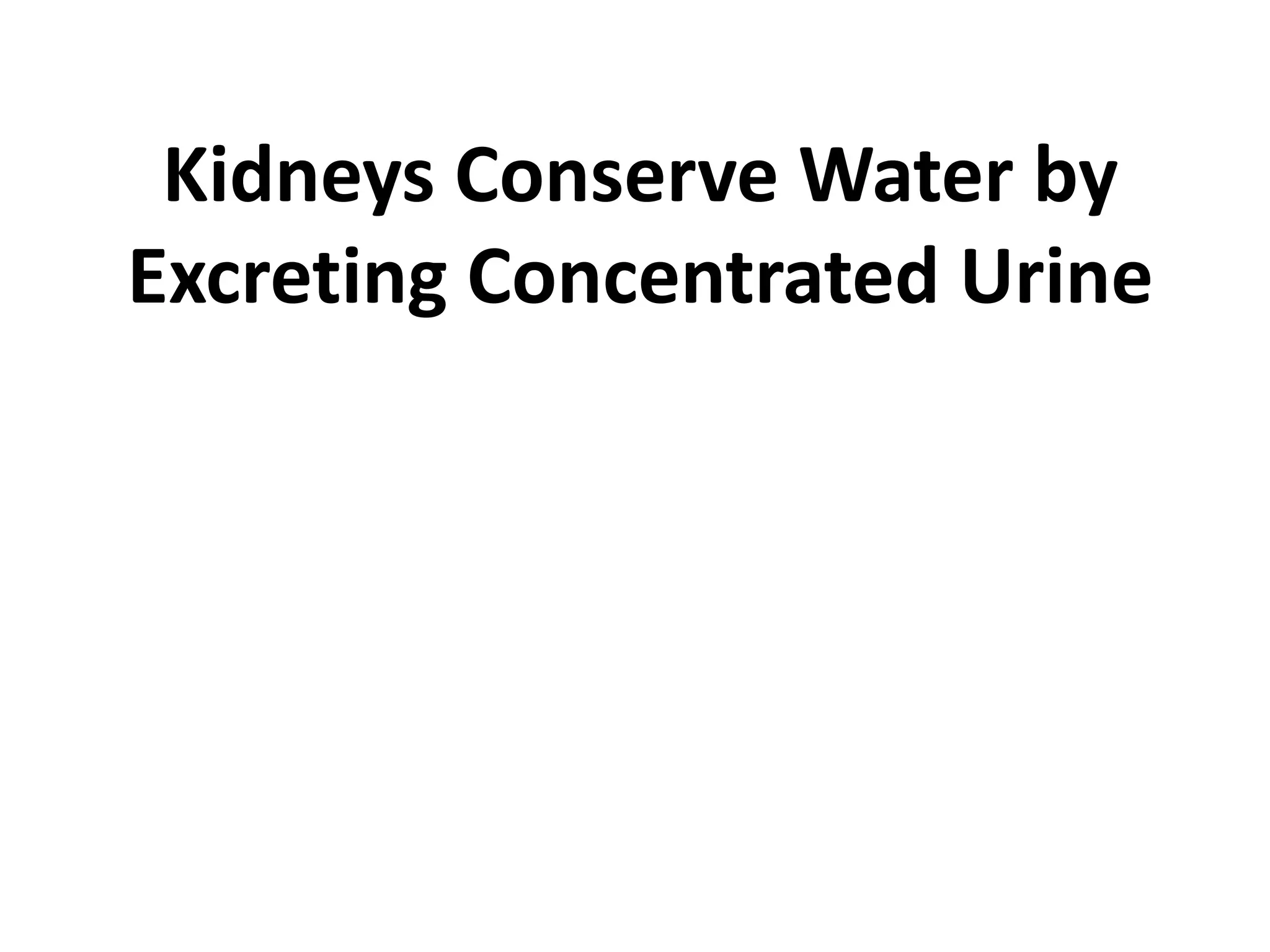 urine concentration and dilution | PPTX