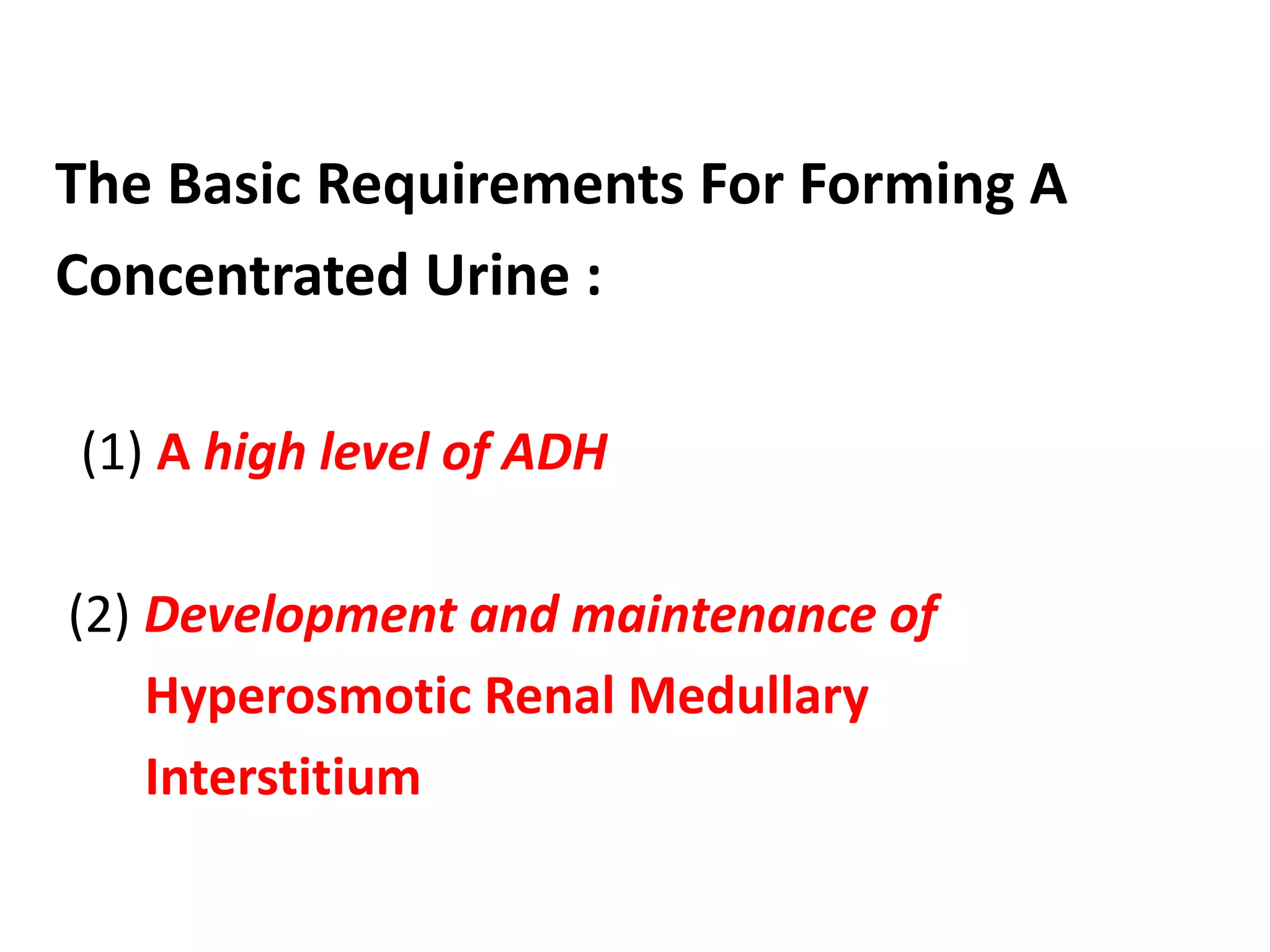 urine concentration and dilution | PPTX
