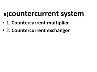 urine concentration and dilution | PPTX