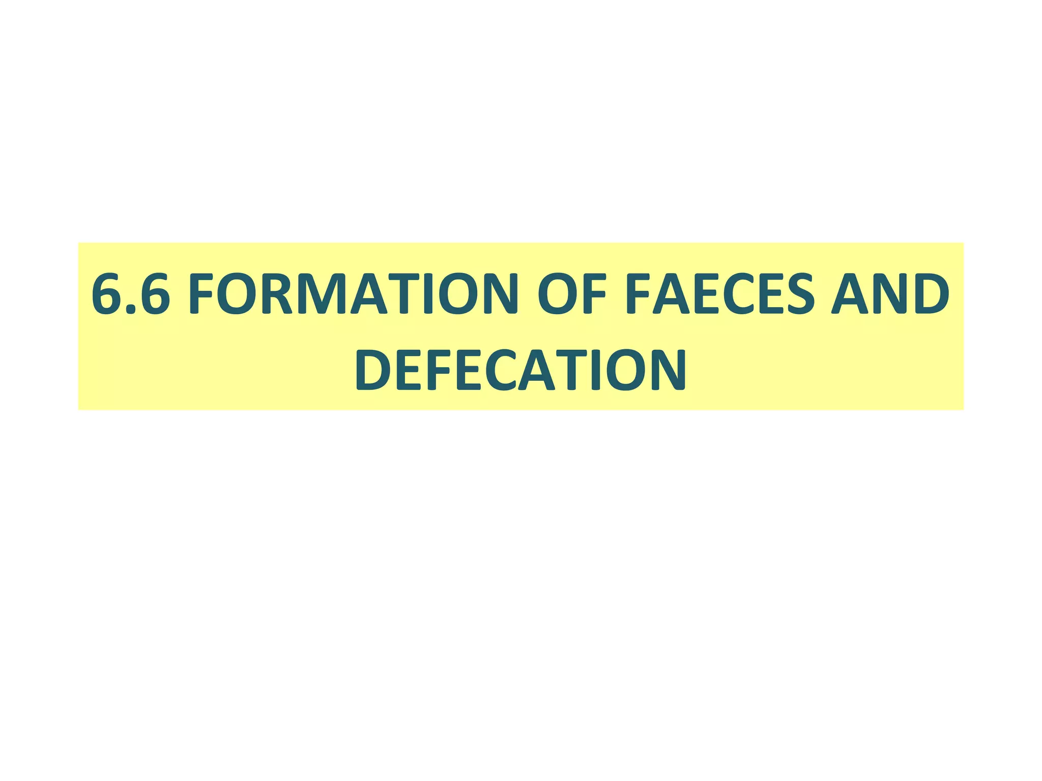 Formation of faeces and defecation | PPT